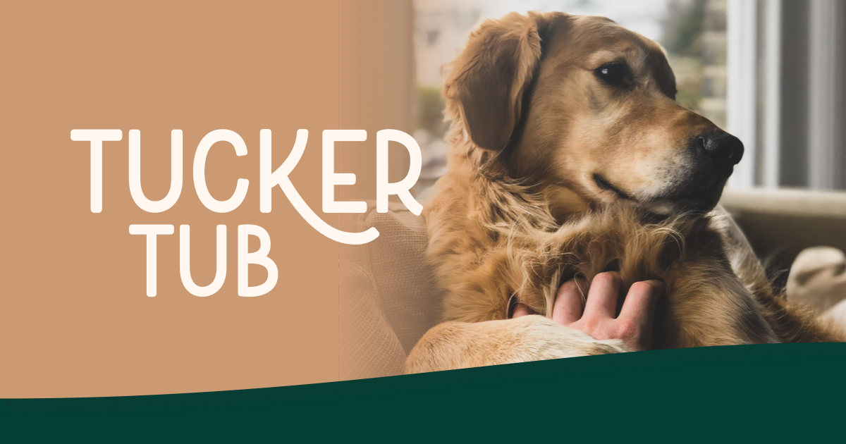 Fresh & Healthy Dog Food | Tucker Tub